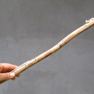 Rustic BRANCH, Olive Wood, Craft Stick, Natural Branch, Driftwood ...