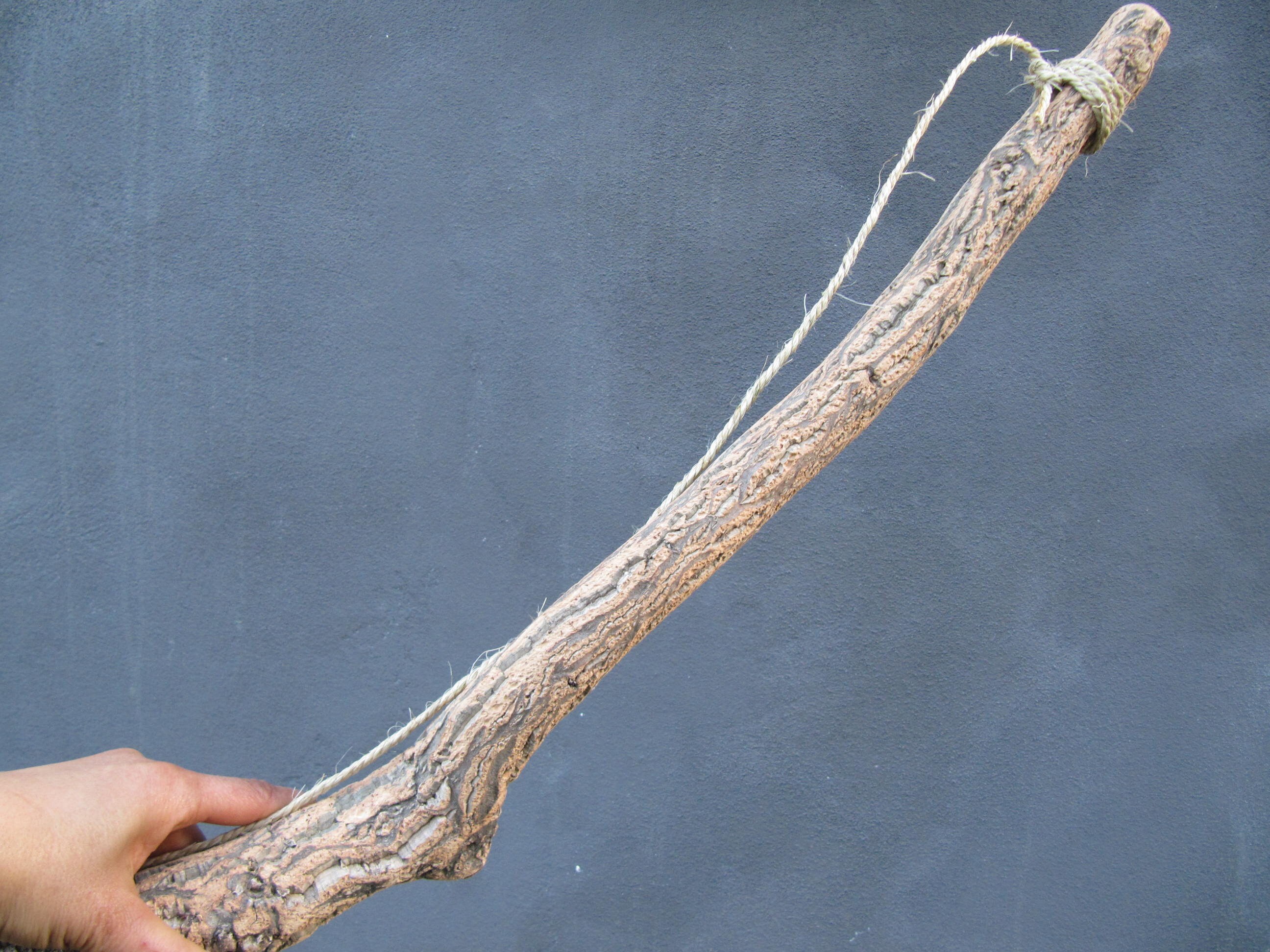 Curved 46 BRANCH Cork Wood Curvy Craft Stick Natural - Etsy