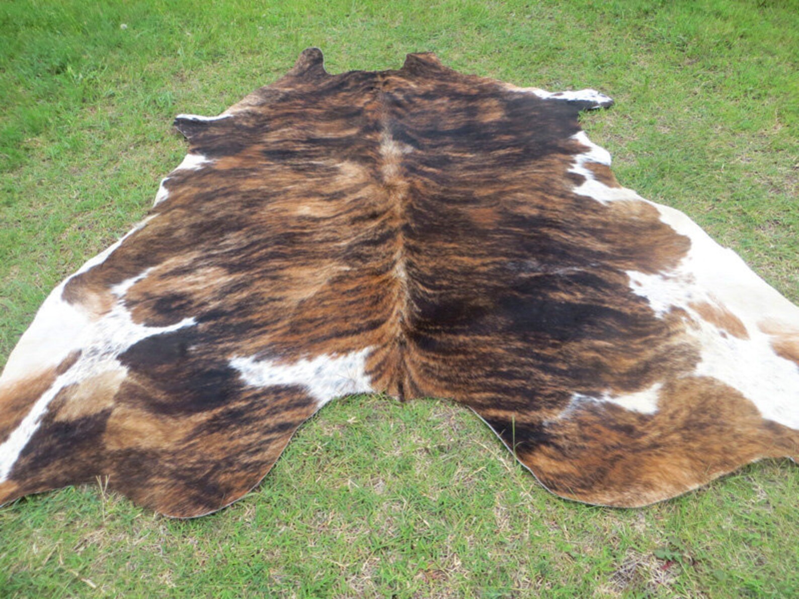 Tri-color BRINDLE BROWN Large New Cowhide Rug Natural Hair - Etsy