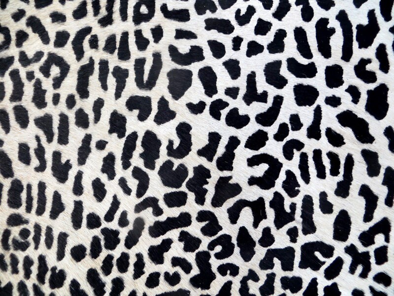 New LEOPARD Printed Cowhide Rug Genuine Natural Hair on | Etsy