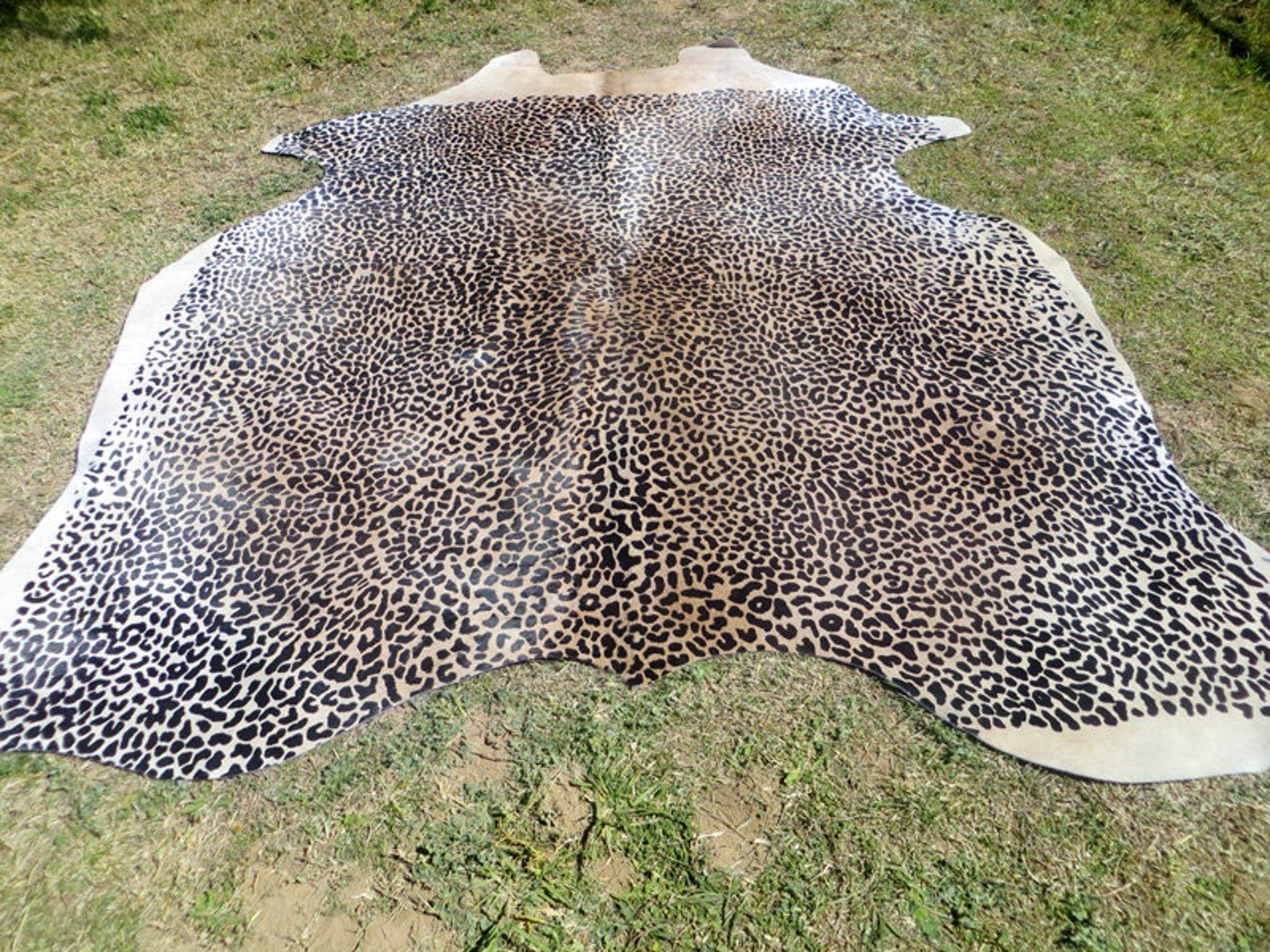 HUUUUGE !! LEOPARD Printed Cowhide Rug Genuine Natural Hair on ! Extra ...