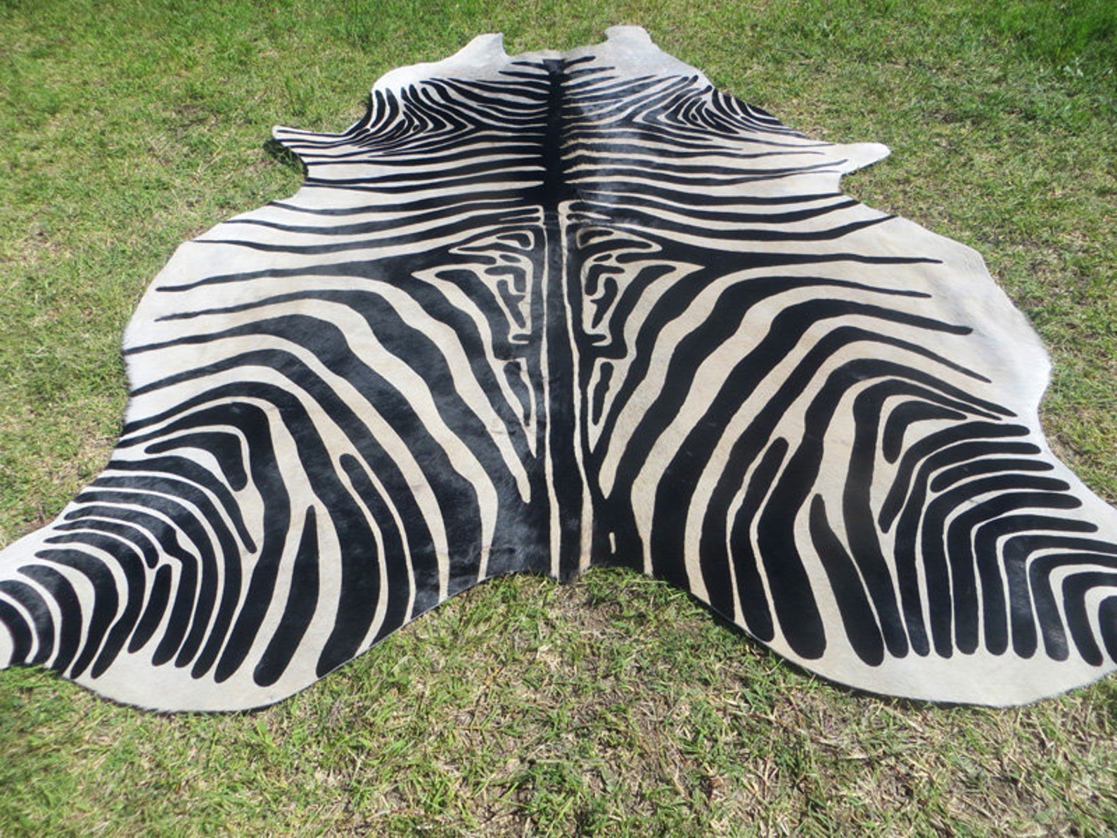 HUUUUUGE ZEBRA New Cowhide Rug Genuine Natural Hair on | Etsy