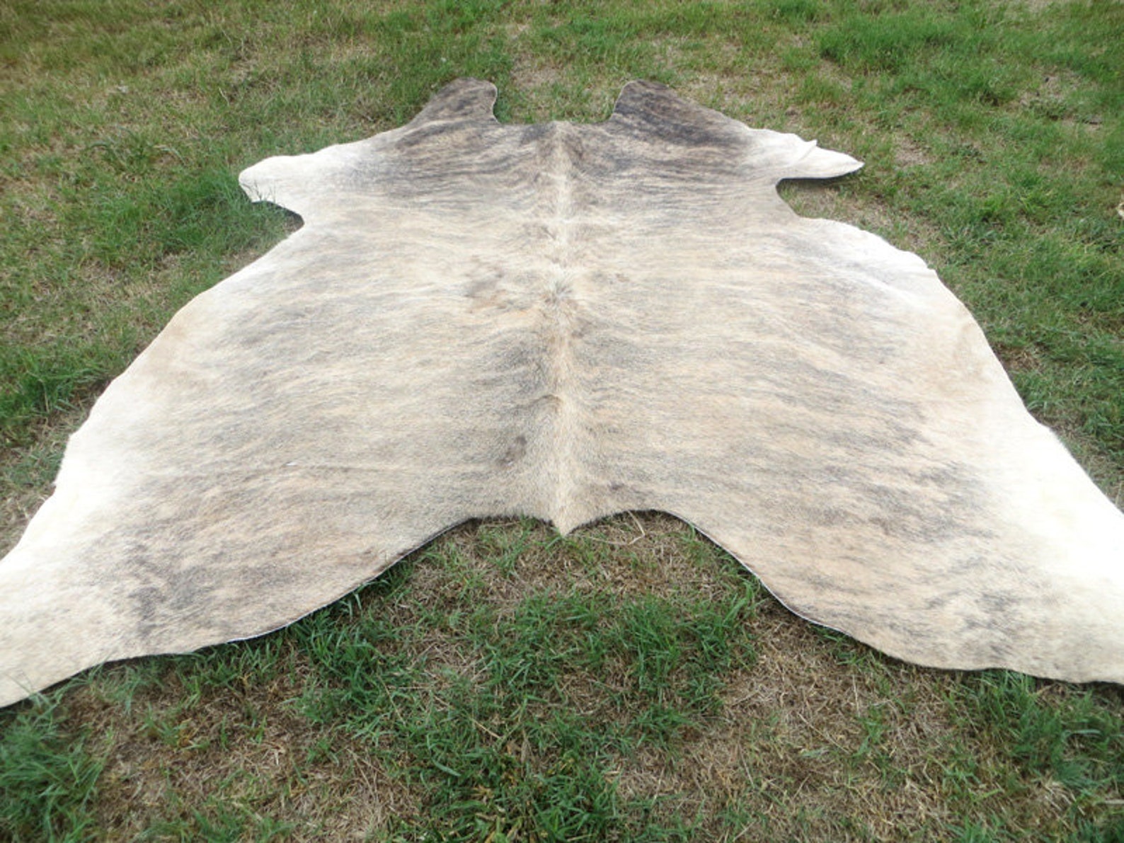 Light Beige WHITE Large New Cowhide Rug Natural Hair on | Etsy