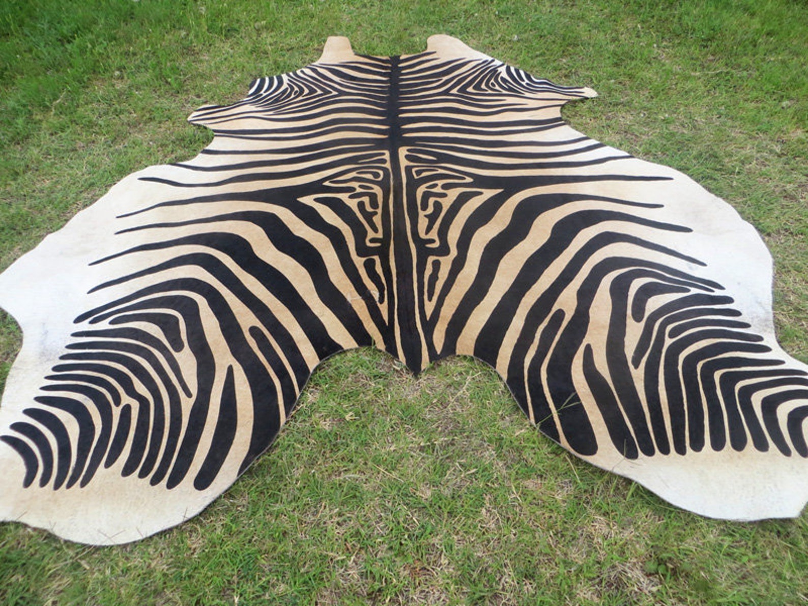 HUUUUUGE ZEBRA New Cowhide Rug Genuine Natural Hair on | Etsy