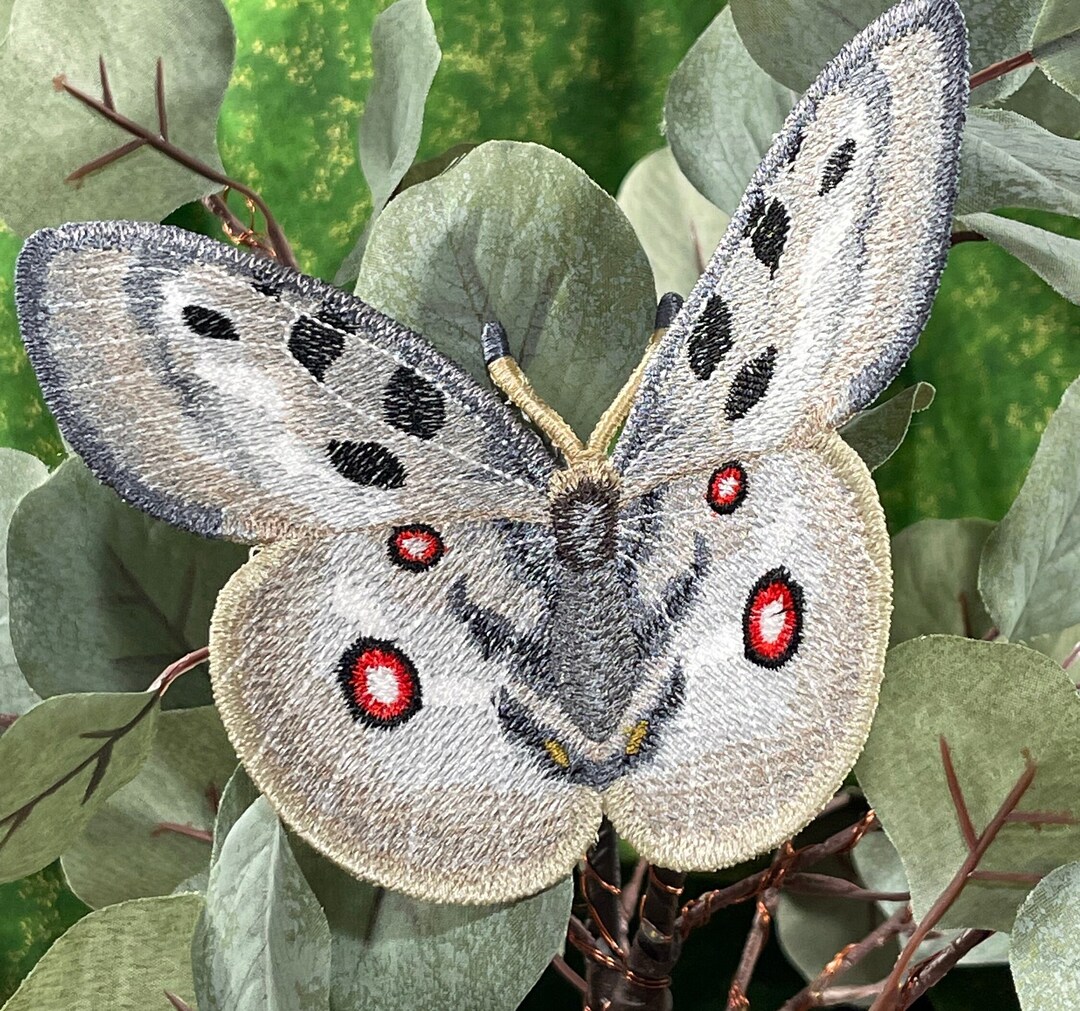 Apollo Butterfly (free Standing - A Finished Embroidery Product, Not a ...