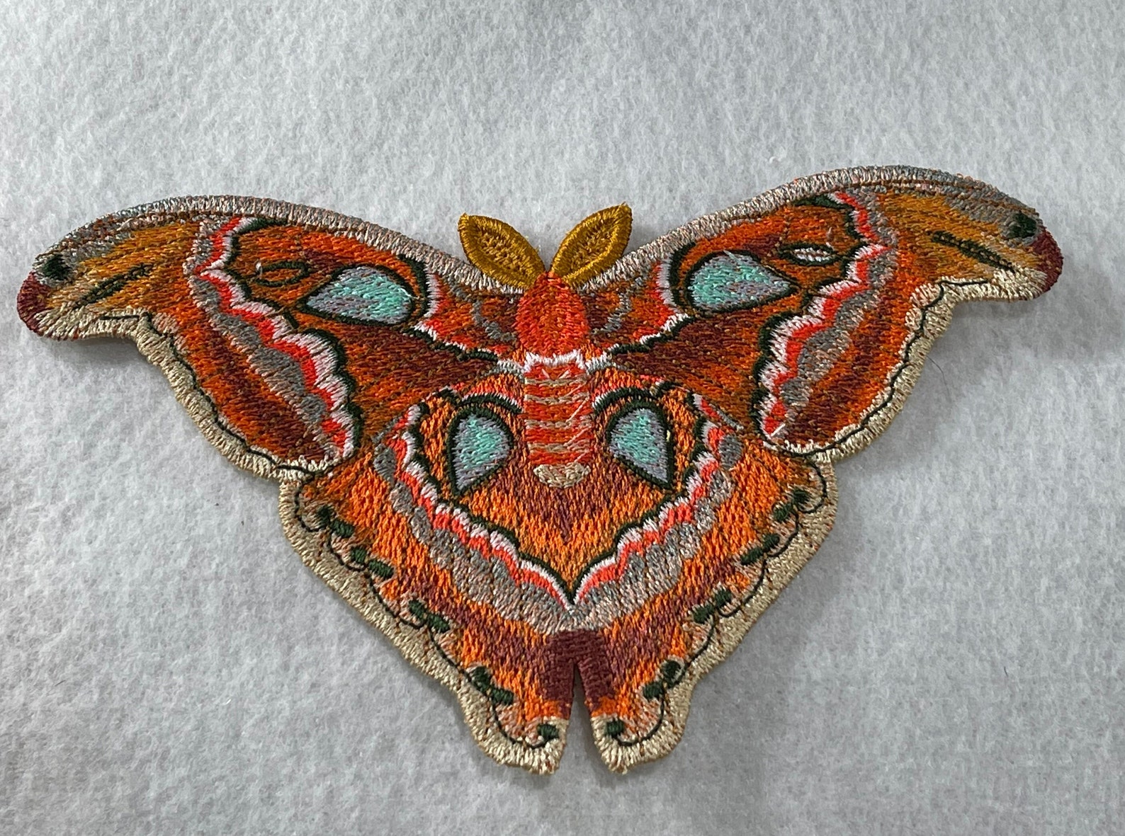 Atlas Moth Free Standing A Finished Embroidery Product | Etsy