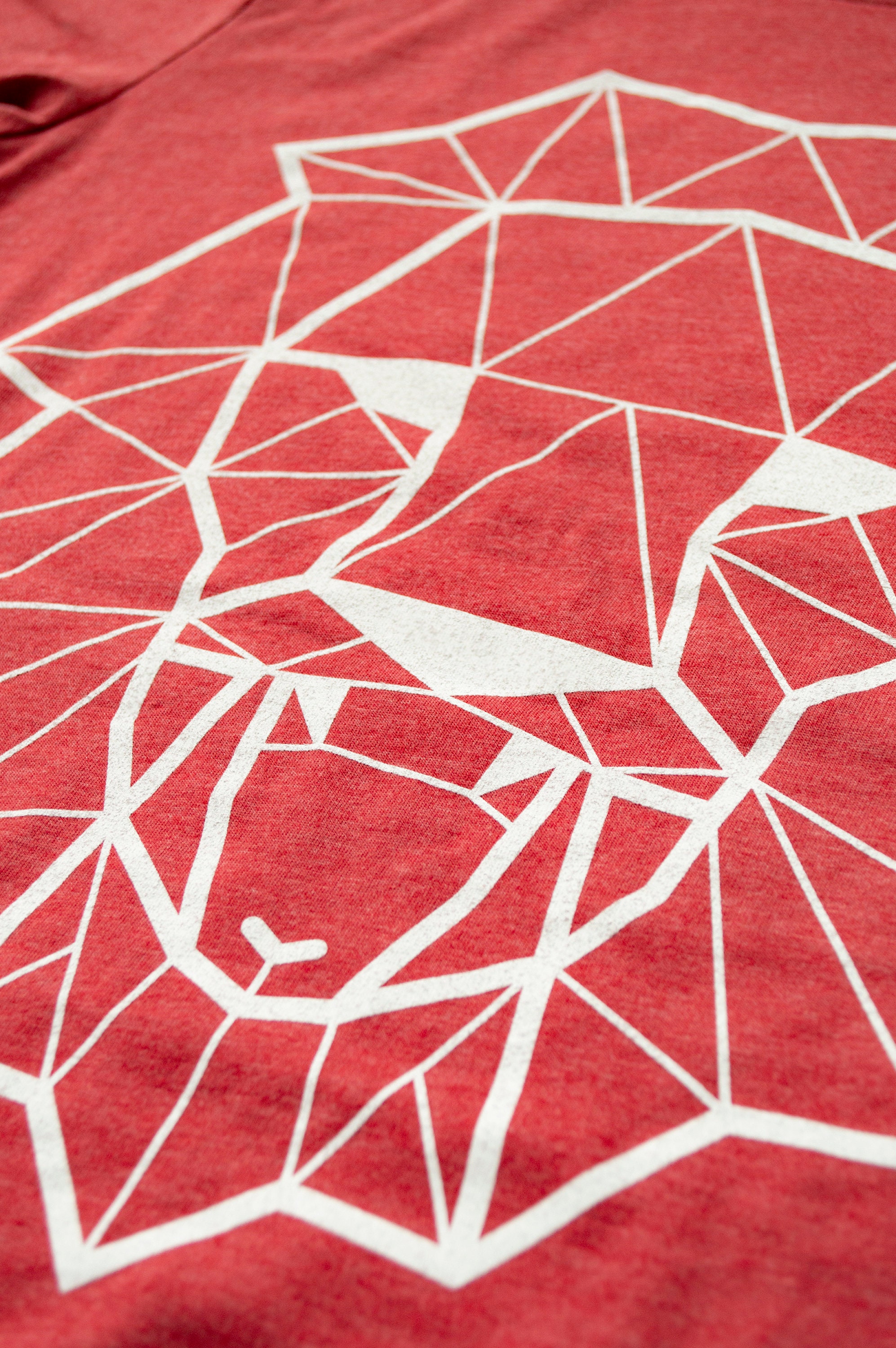 Lion & Lamb Tee Scarlet Jesus Shirt Christian Shirt for | Etsy