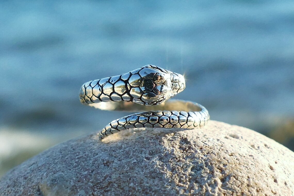 Silver Ring Snake Ring Snake Silver Ring Snake Ring for - Etsy