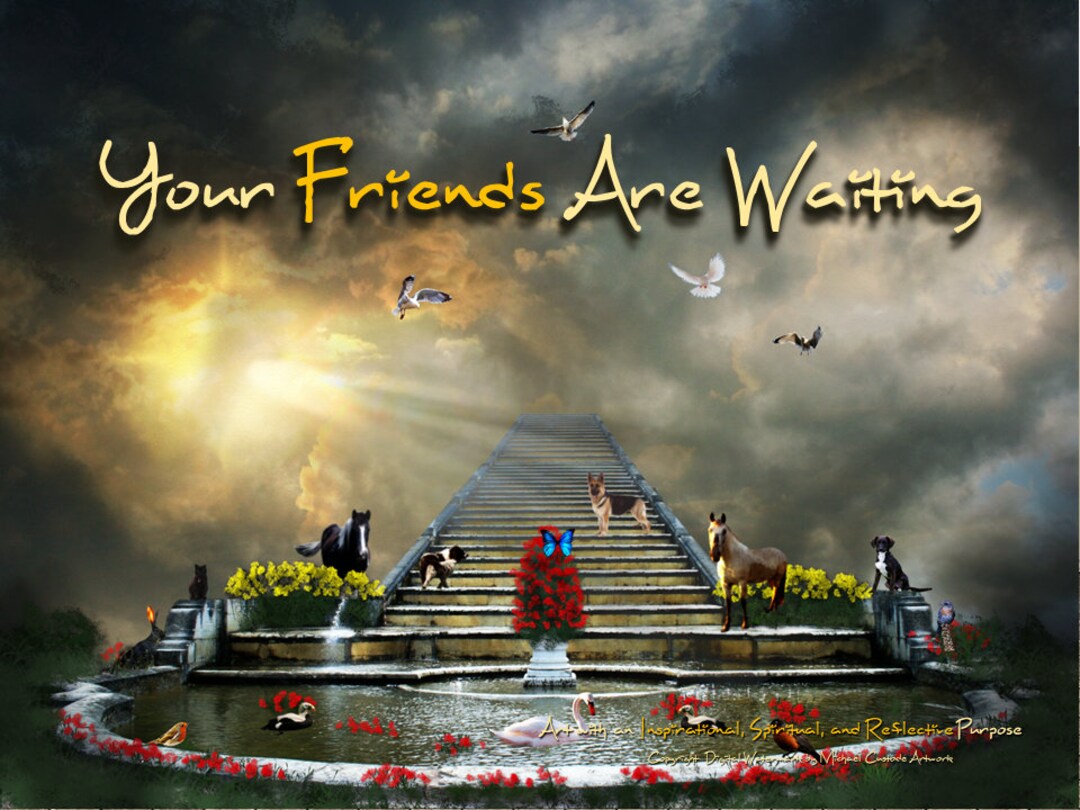 Your Friends Are Waiting Featuring Pets Waiting for Their Owners in ...