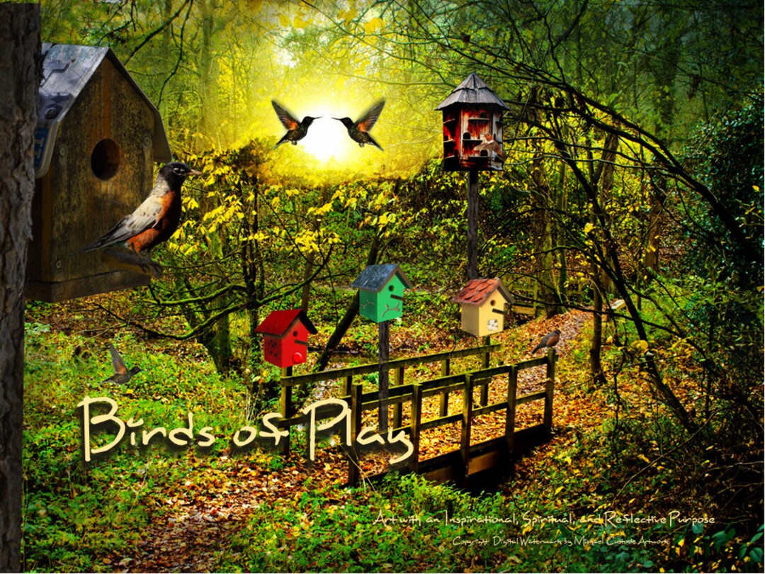 Birds of Play featuring various birds enjoying their habitat - The ...