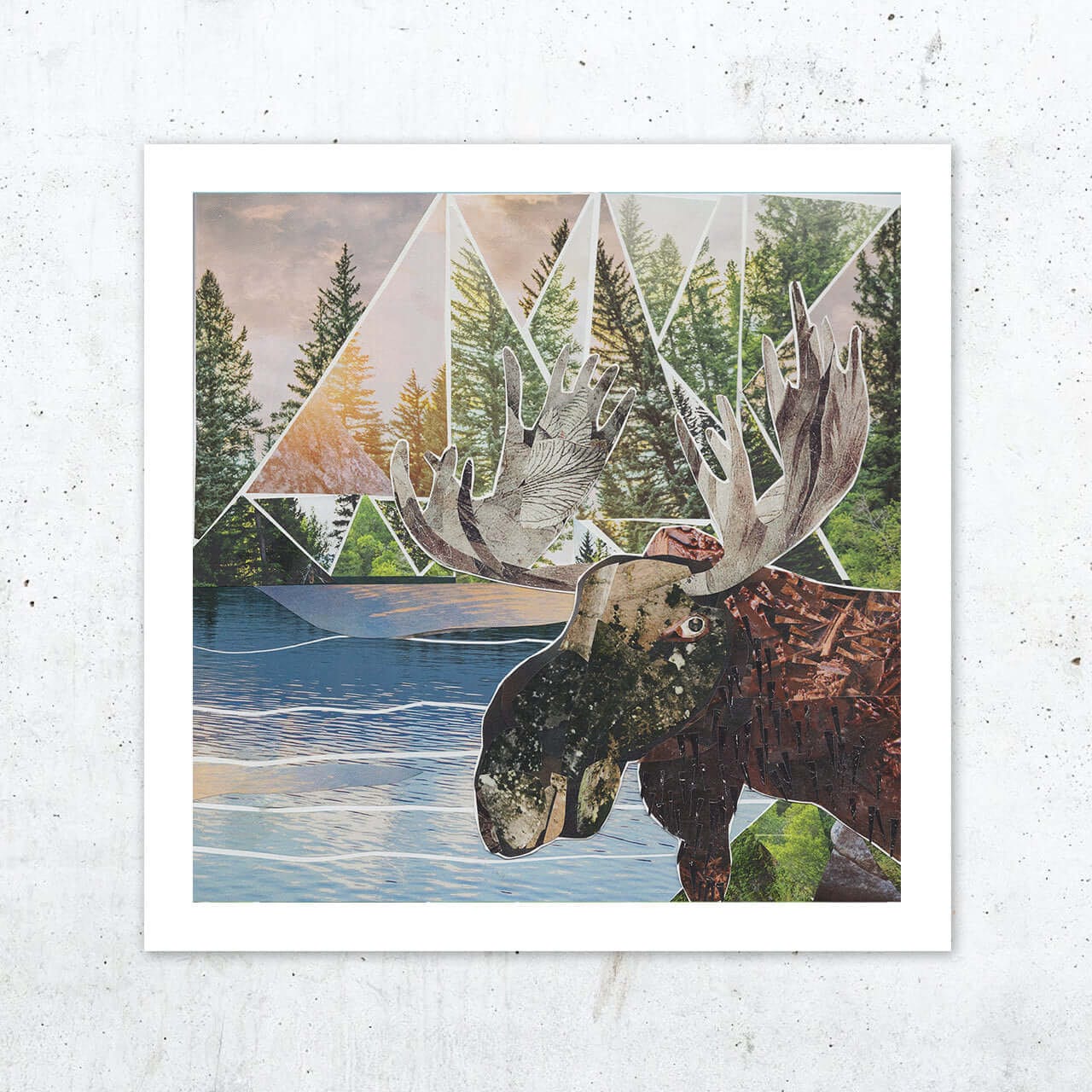 Moose Kitchen Accessories