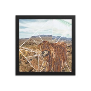 Highland Cow Art | Highland Cow Print | National Dairy Month Gift ...