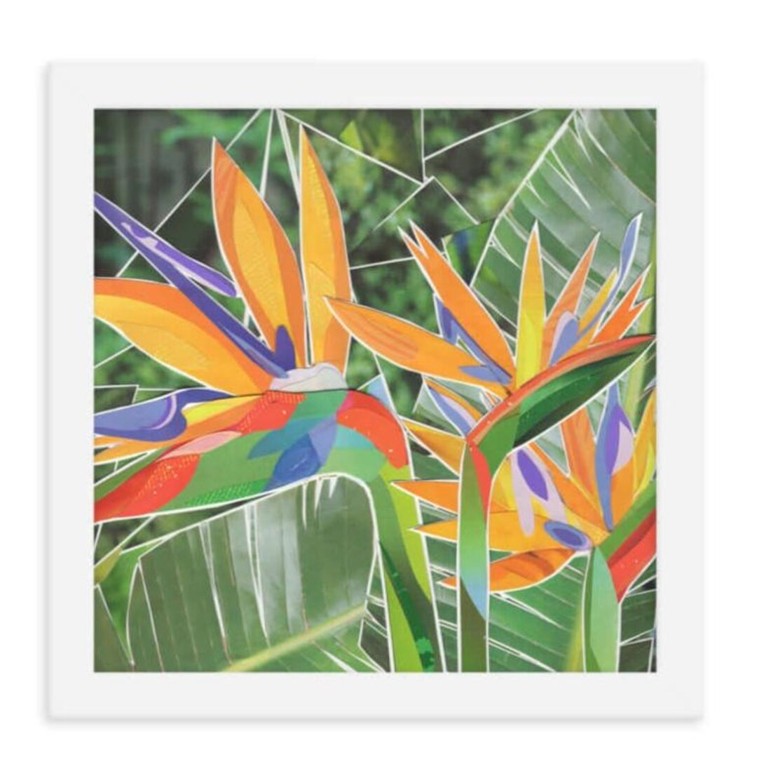 Birds of Paradise Collage Art Print | Tropical Flower Wall Decor - Etsy UK