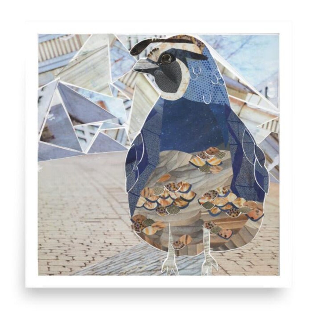 Blue Quail Art Print | Magazine Collage Bird Decor - Etsy
