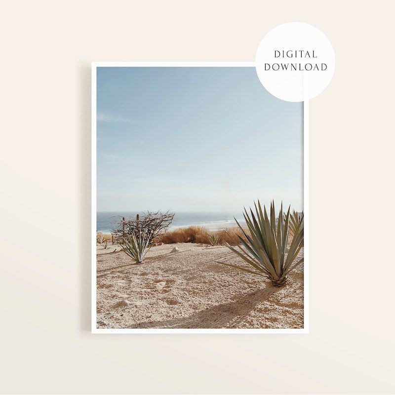 Cabo San Lucas Art - Etsy