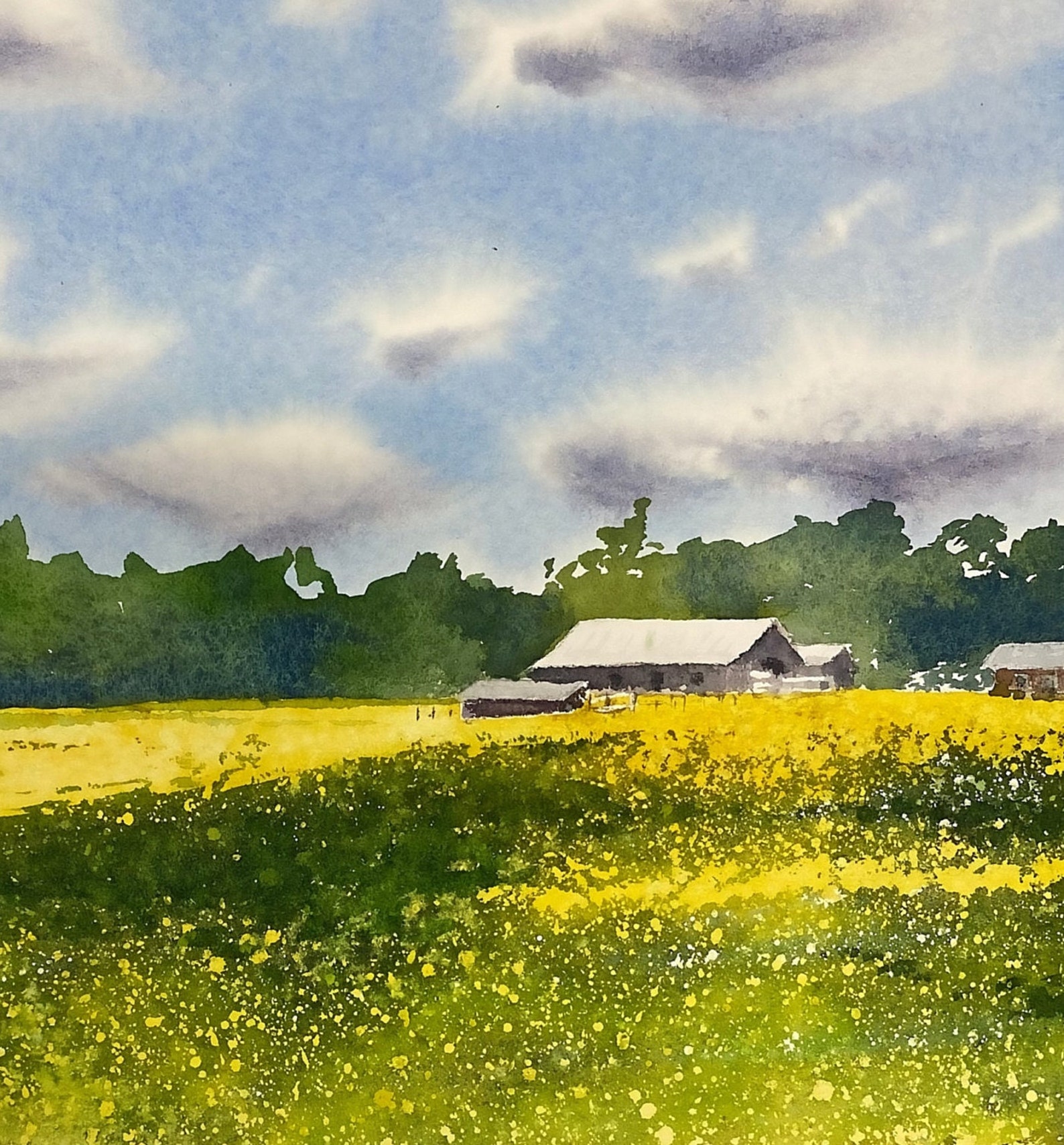 Yellow Field of Flowers Watercolor Print and Original; Farm Painting ...