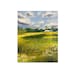 Yellow Field of Flowers Watercolor Print and Original Farm Painting ...