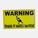 Warning Beware of Magpies Swooping Sign - Etsy