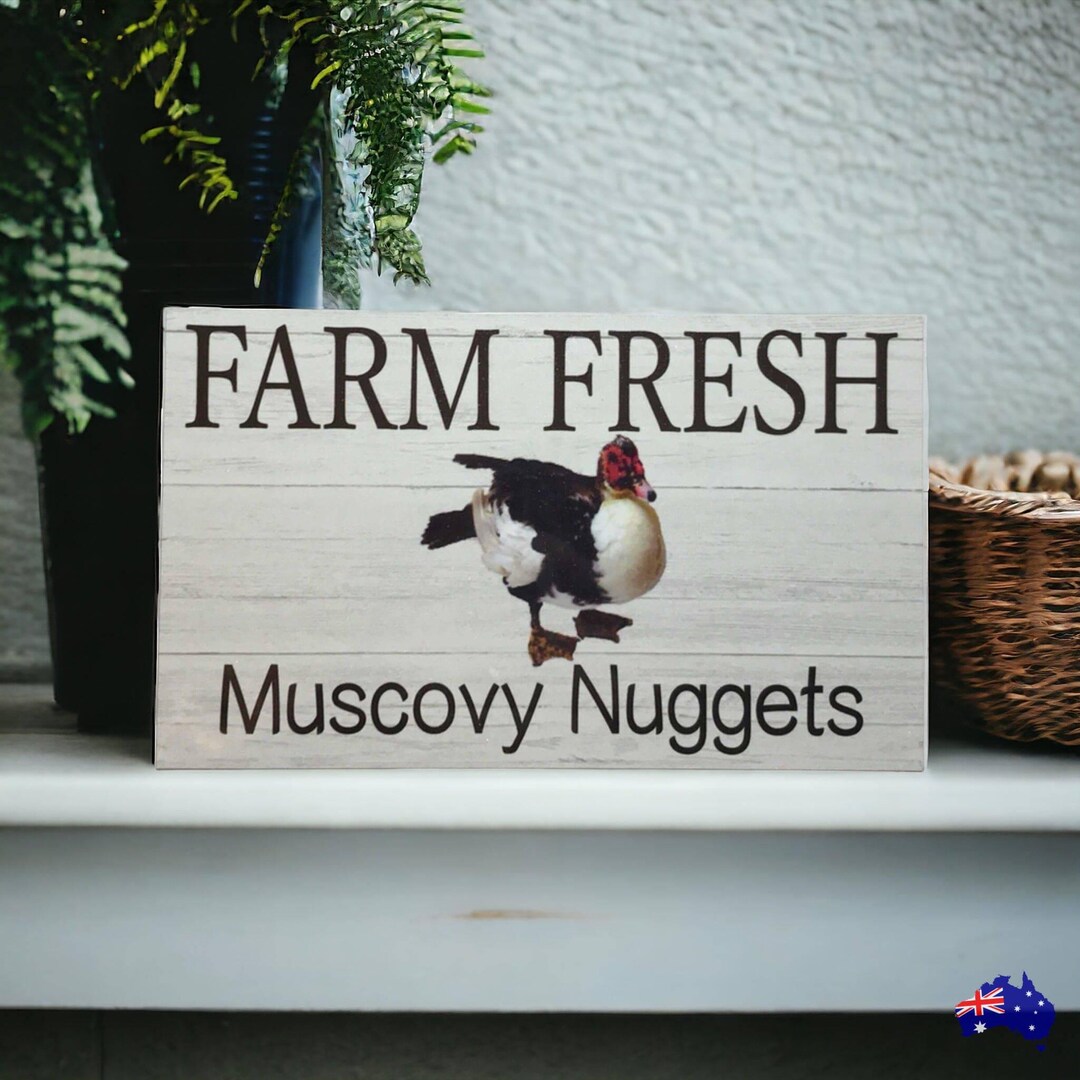 Duck Muscovy Nuggets Egg Sign - Etsy