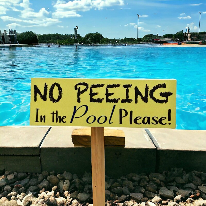 No Peeing in Pool - Etsy