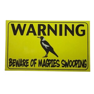 Warning Beware of Magpies Swooping Sign - Etsy