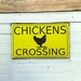 Chickens Crossing Sign - Etsy