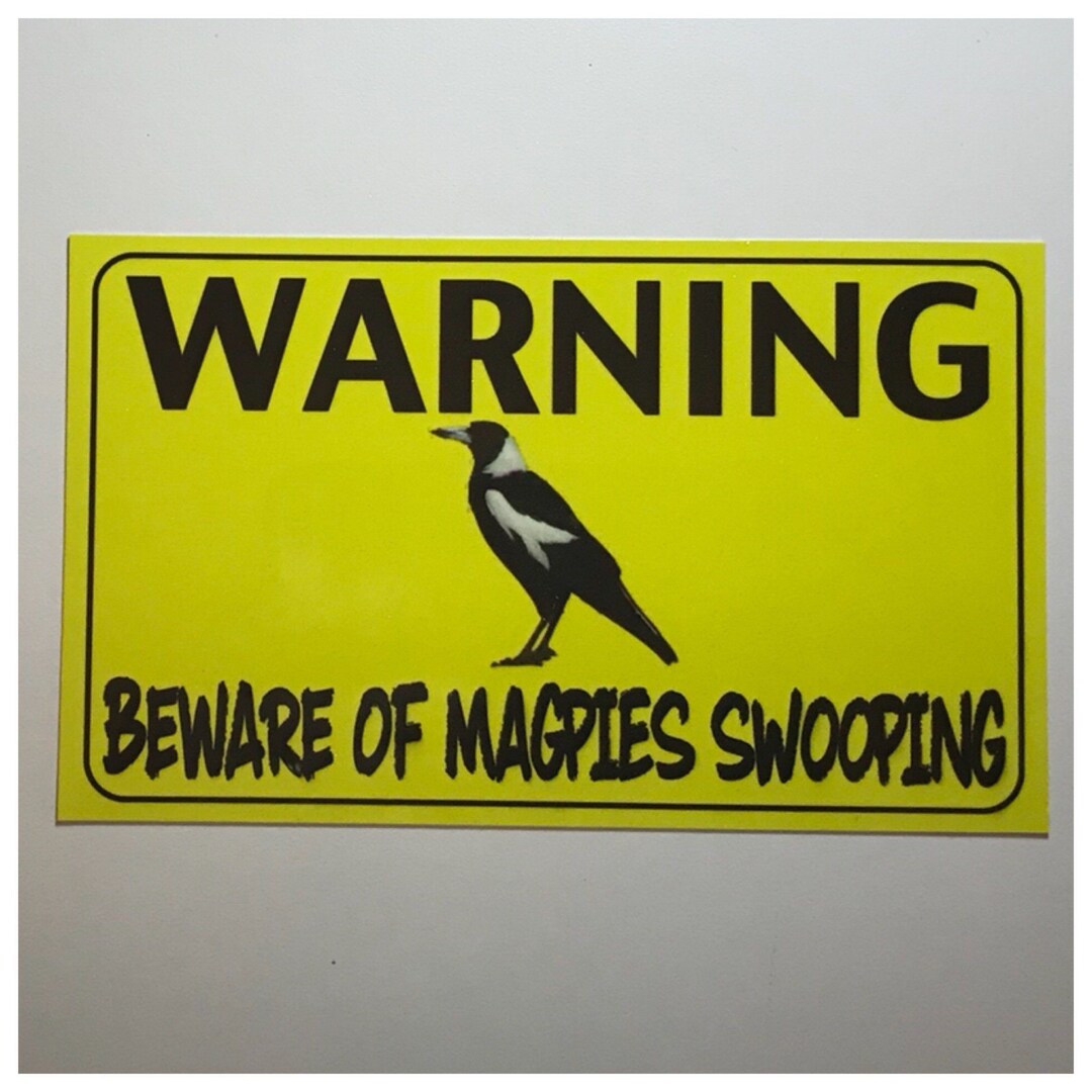 Warning Beware of Magpies Swooping Sign - Etsy