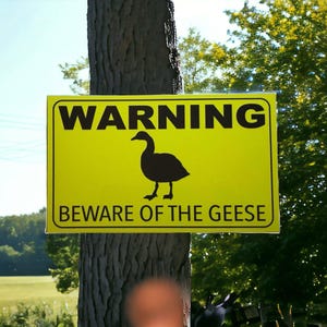 Warning Beware of the Geese Goose Sign - Etsy