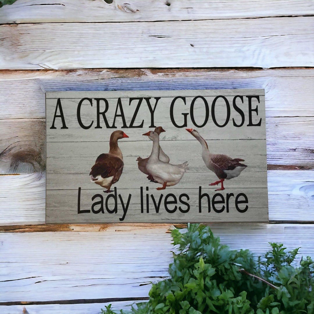 Crazy Goose Geese Lady Lives Here Sign - Etsy