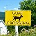 Goat Crossing Sign - Etsy