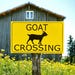 Goat Crossing Sign - Etsy