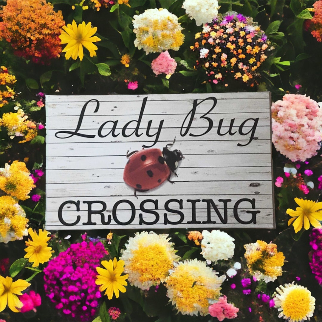 Lady Bug Beetle Crossing Sign - Etsy