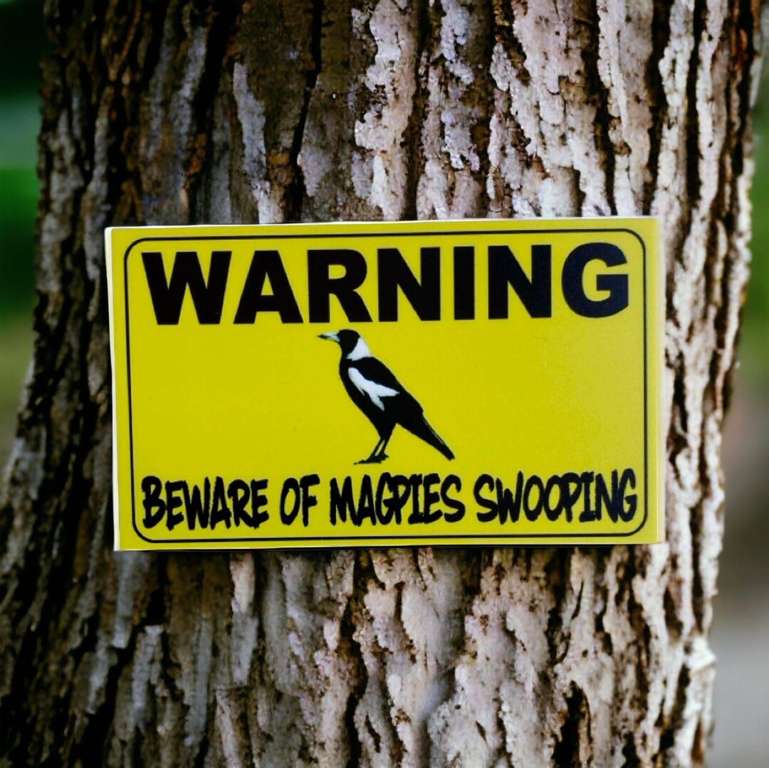 Warning Beware of Magpies Swooping Property Sign - Etsy
