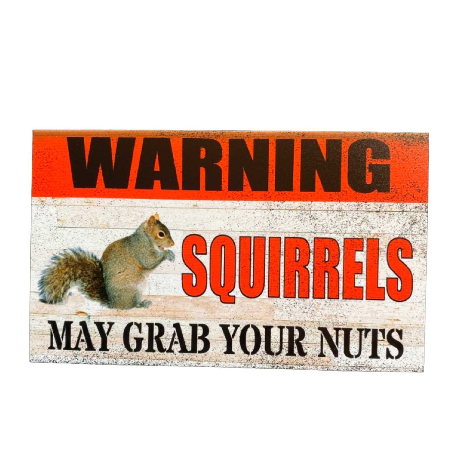 Dramatic Squirrel Drops Nut