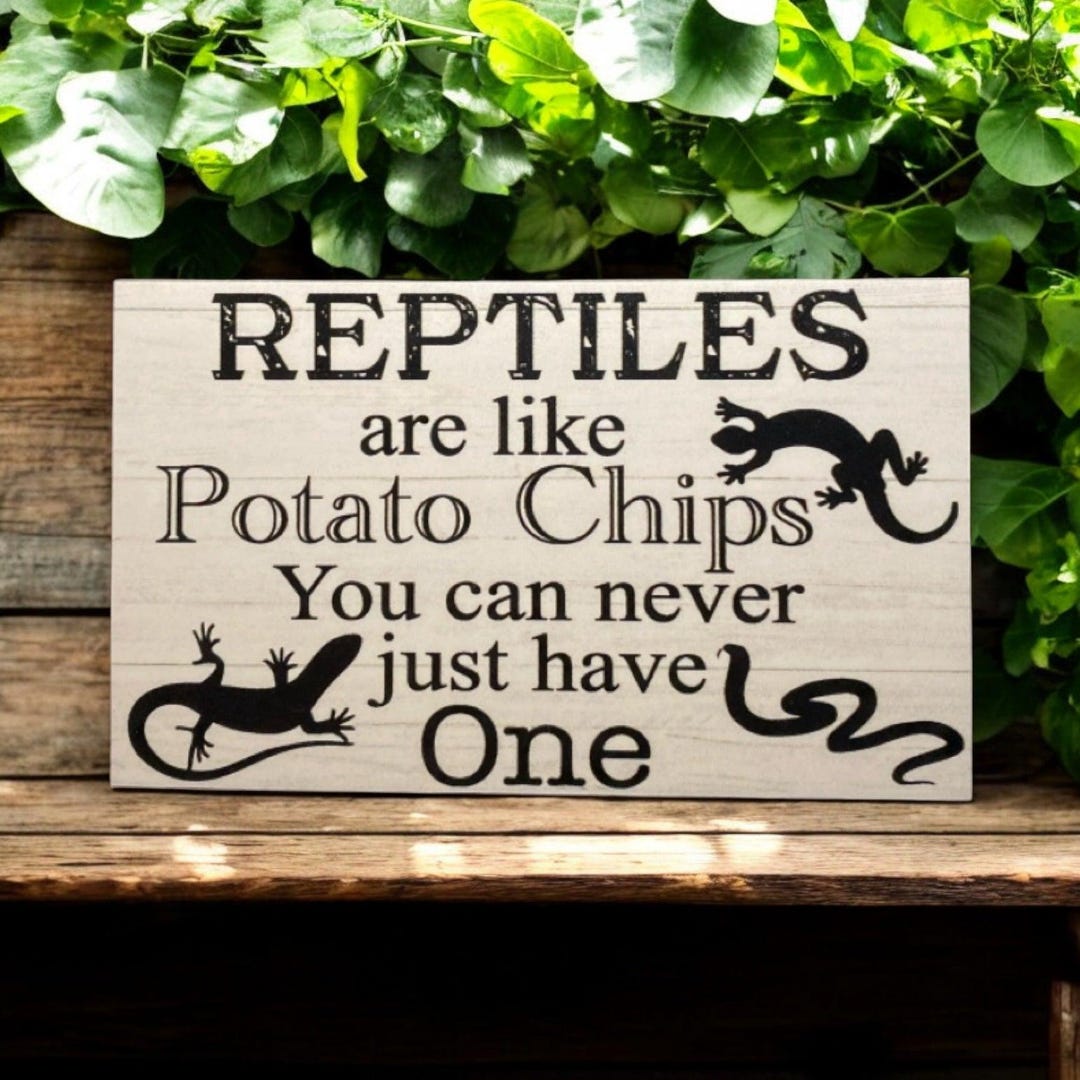 Reptiles Like Potato Chips More Than One Funny Snake Lizard Sign - Etsy