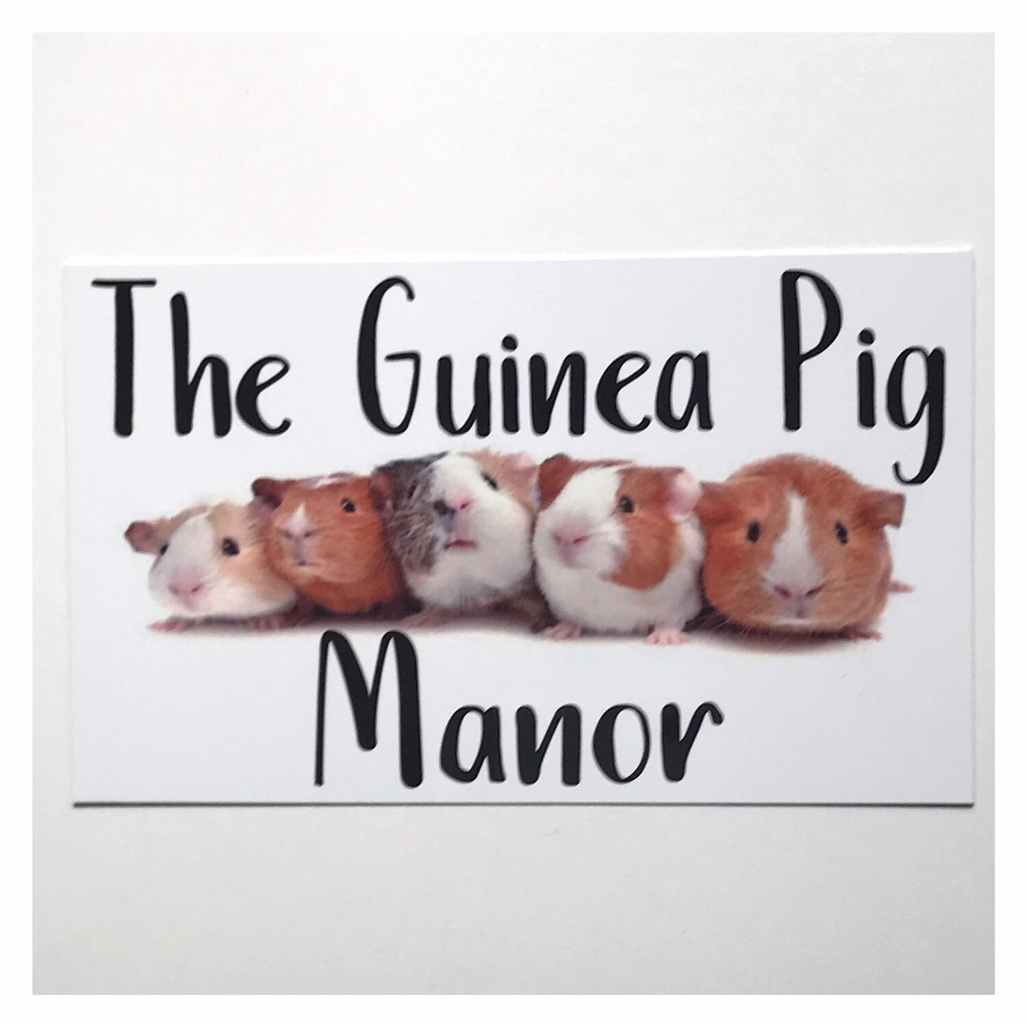 Guinea Manor Pig Sign Front Door or Hutch Wall Plaque or | Etsy
