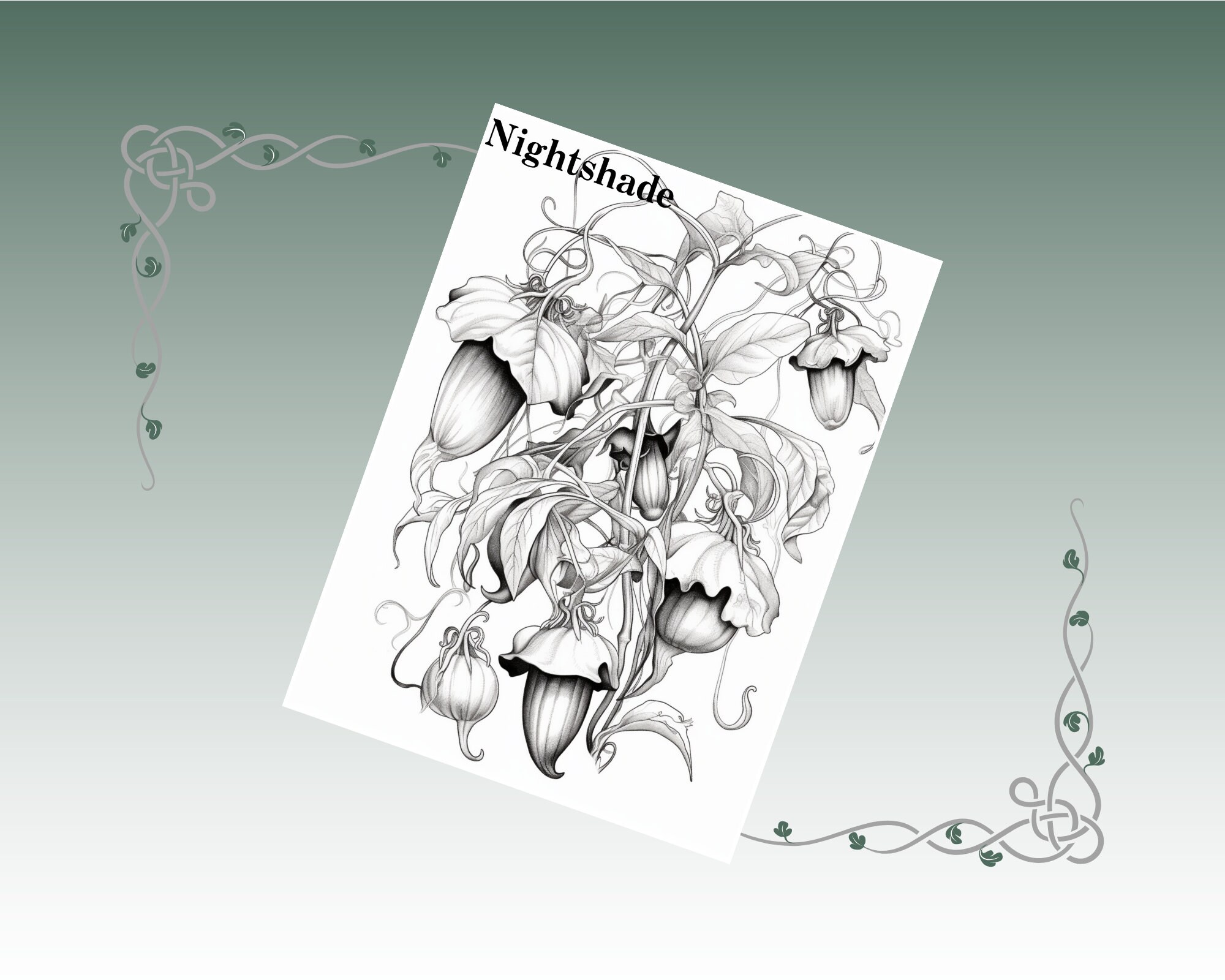 Forbidden Nightshade Adult Coloring Page Digital Download - Etsy