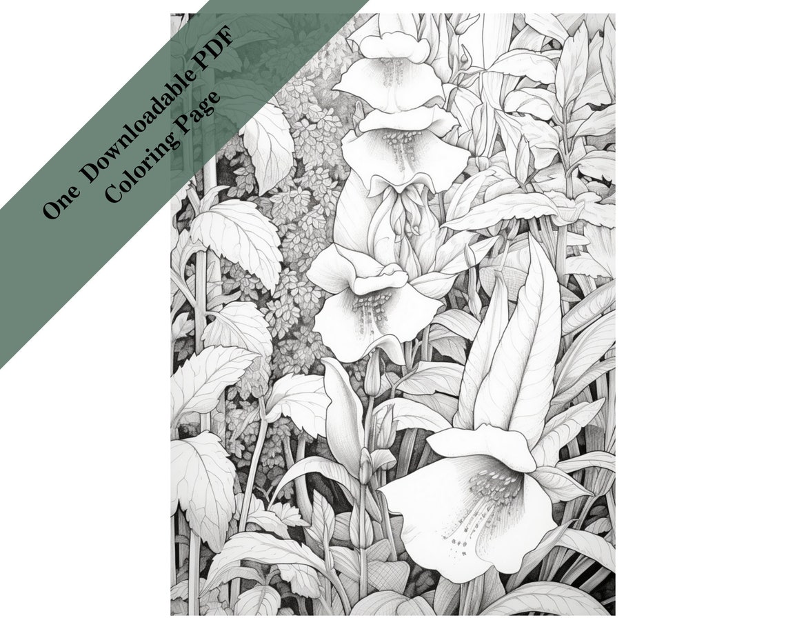 In the Poison Garden Adult Coloring Page Digital Download - Etsy