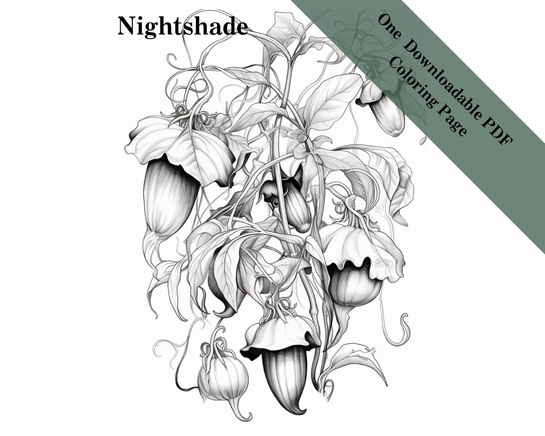 Forbidden Nightshade Adult Coloring Page - Digital Download - Etsy