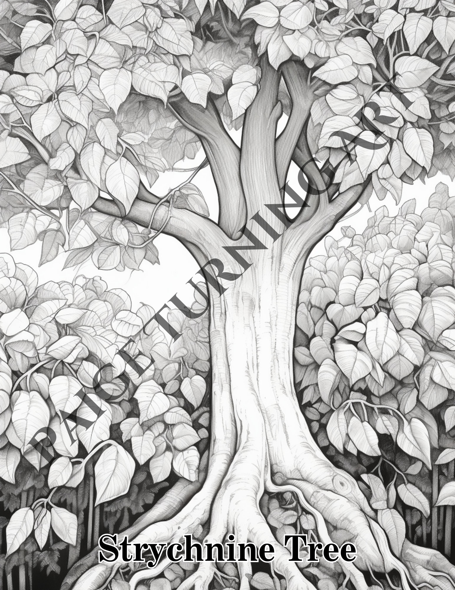 Poisonous Strychnine Tree Adult Coloring Page Digital - Etsy