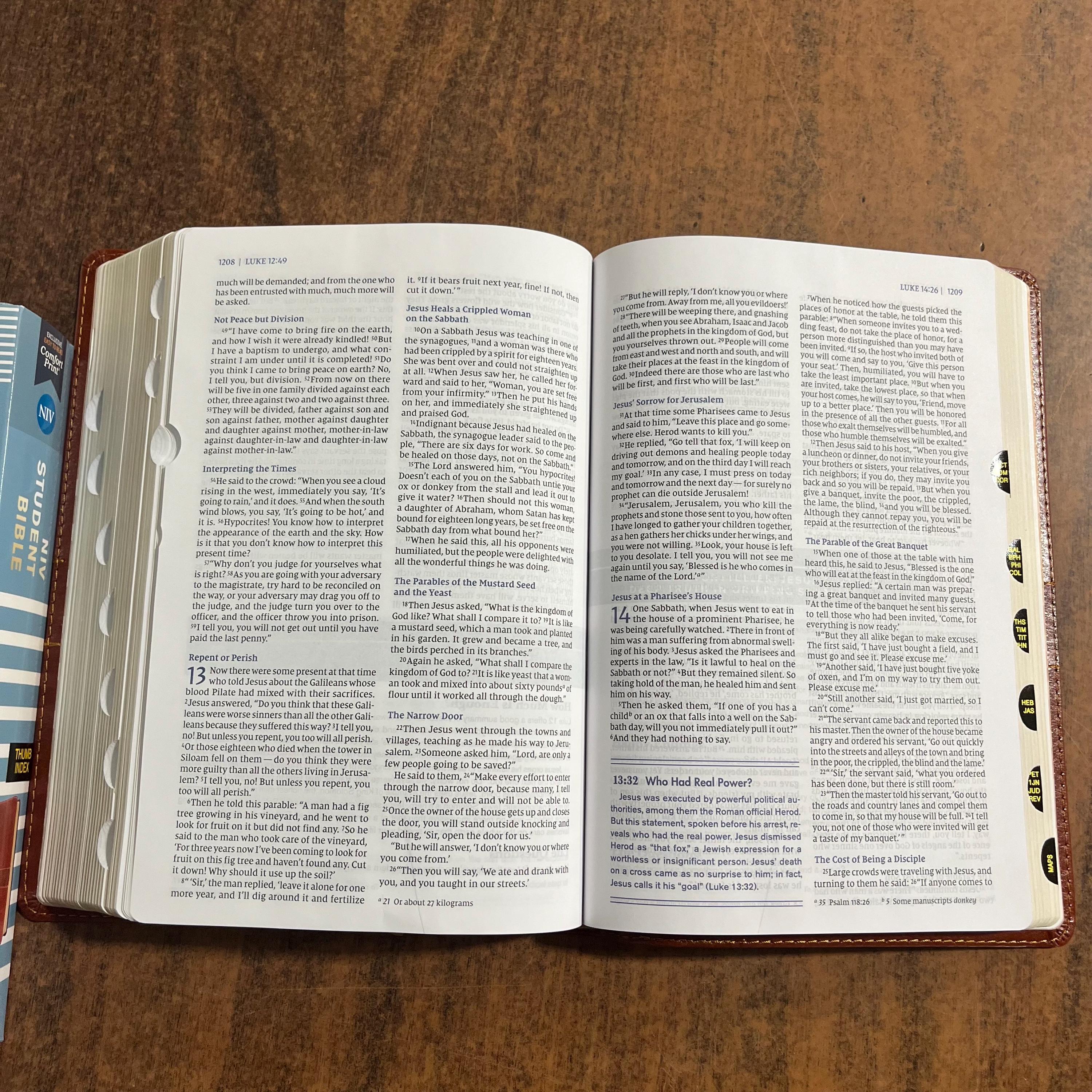 Personalized NIV Student Study Bible Thumb Indexed - Brown Leathersoft ...