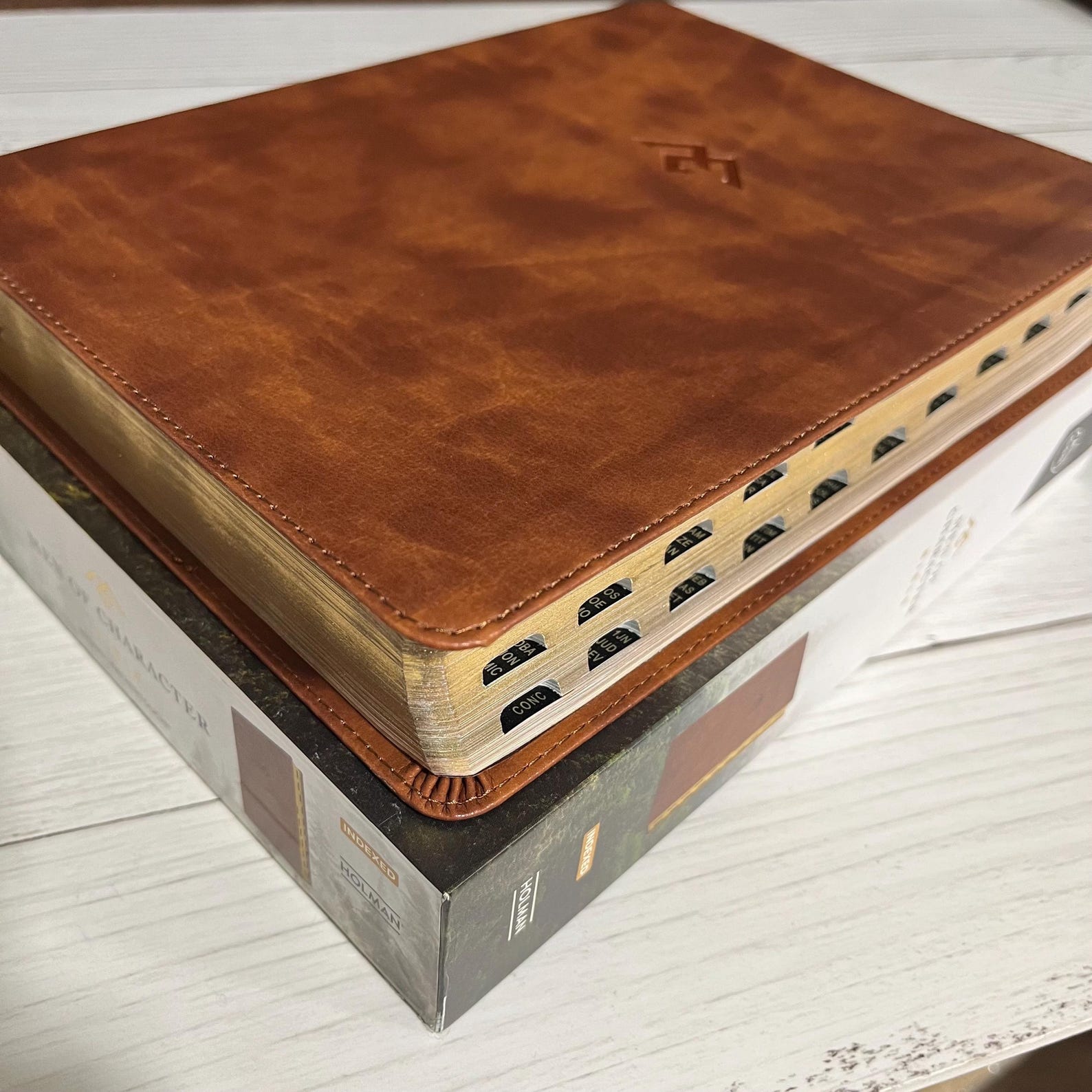 Personalized Mens Bible, CSB Men of Character Study Bible Thumb Indexed ...