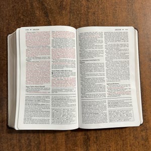 Personalized NIV Foundation Study Bible - Brown Leathersoft - Custom ...