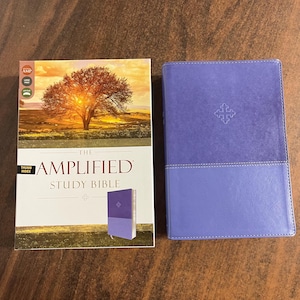 Personalized Amplified Study Bible Large Print Thumb Indexed - Purple ...