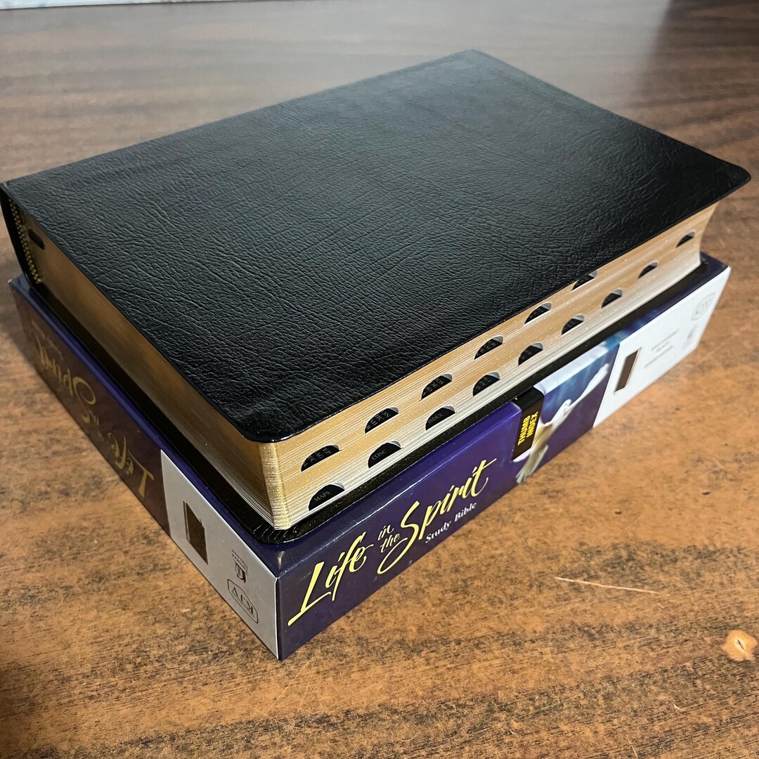 Personalized KJV Life in the Spirit Study Bible Thumb Indexed - Black ...