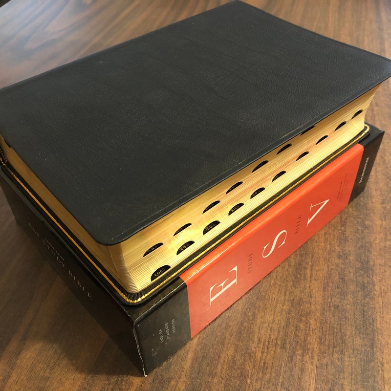 Large Print Bible and Esv - Etsy