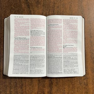 Personalized NIV Foundation Study Bible - Brown Leathersoft - Custom ...