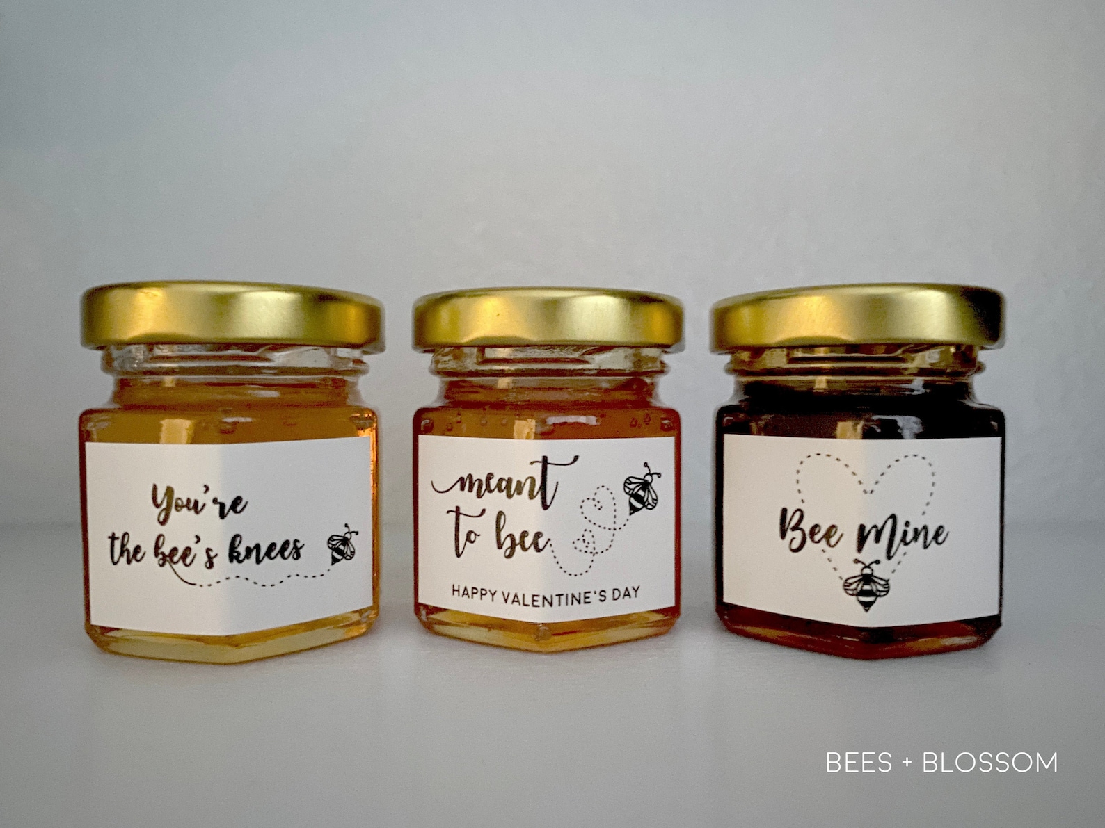 Mini Honey Sampler Gift Set in 2oz Hexagon Glass Jars Honey - Etsy