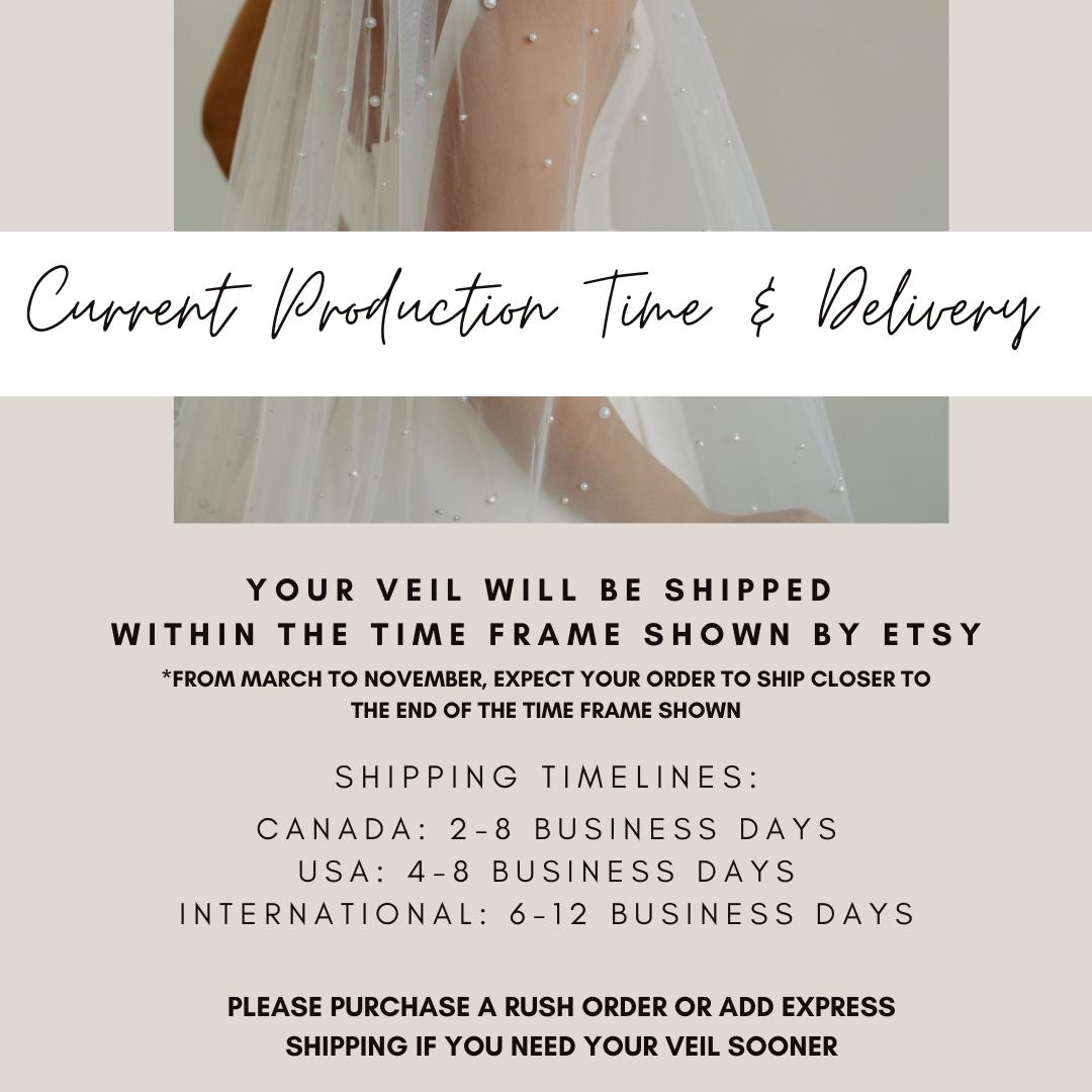 Soft Bow Wings Veil Mid Length Wedding Bridal Veil Plain Simple Cut Raw ...