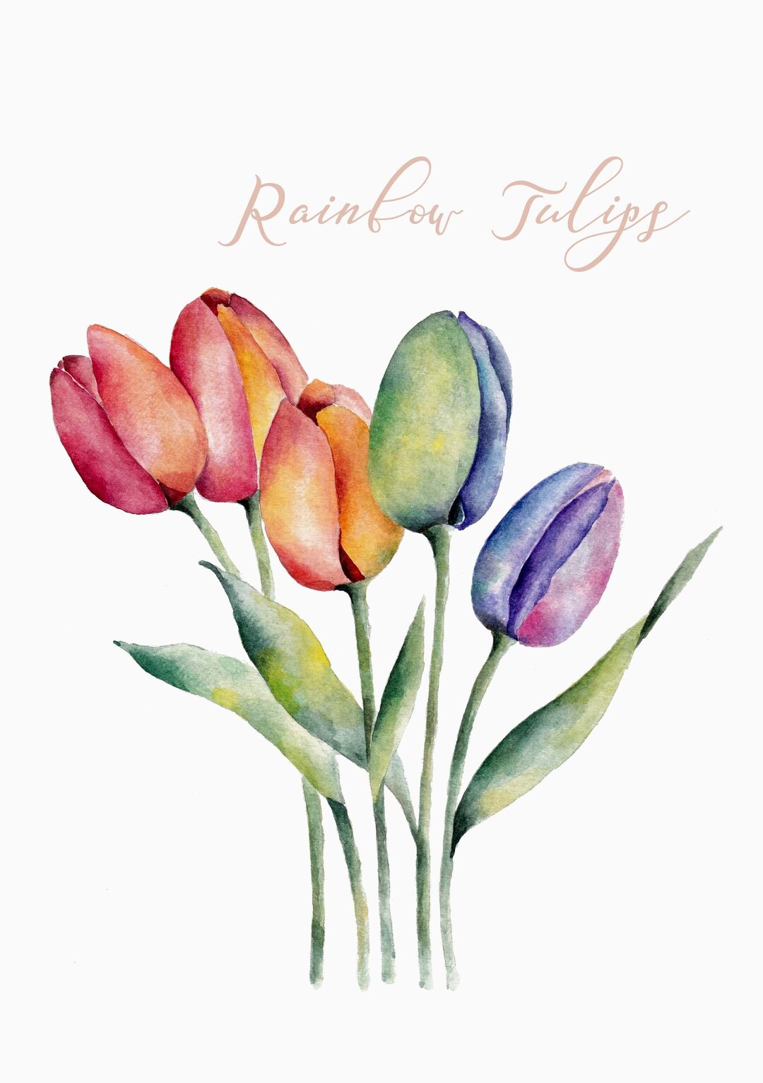Rainbow Tulips, Watercolour Floral, Watercolour Flowers, Tulip ...
